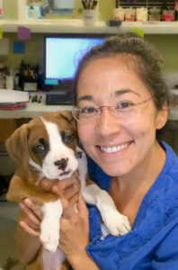 Meet the Team - Clays Mill Veterinary Clinic